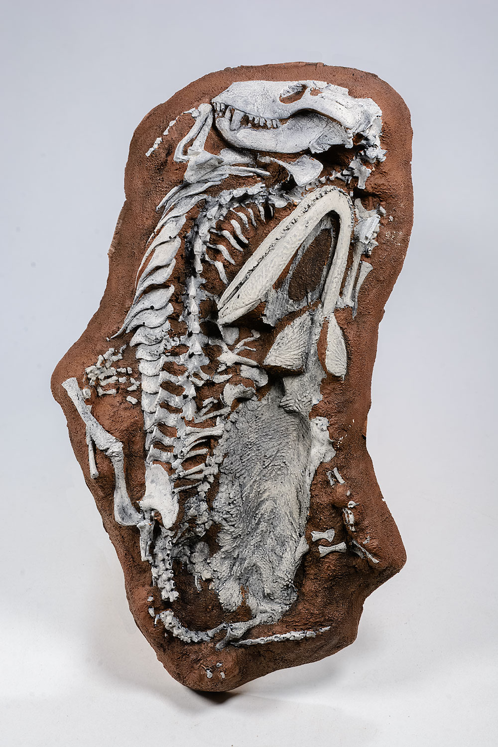 Triassic cuddle CAST – Thrinaxodon and Broomistega | The Natural Canvas